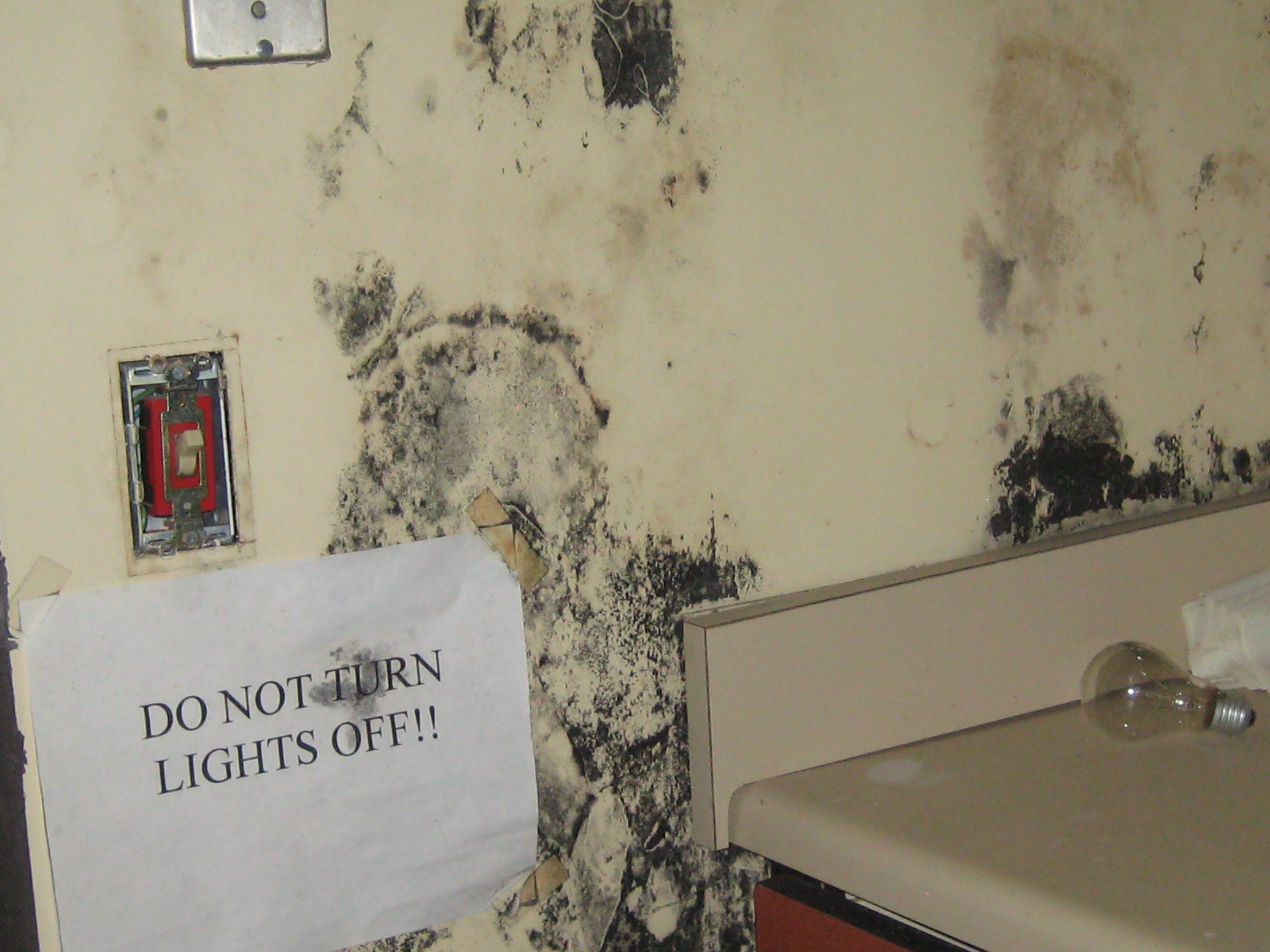 Is the Haunted Old South Pittsburgh Hospital Back Open for Business?