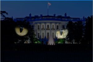 The White House's Basement Demon Cat That Foretells Disaster