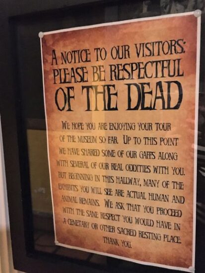 Museum of the Weird: A Jaunt Inside Austin's Strangest Attraction