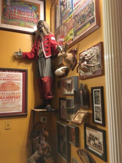 Museum of the Weird: A Jaunt Inside Austin's Strangest Attraction